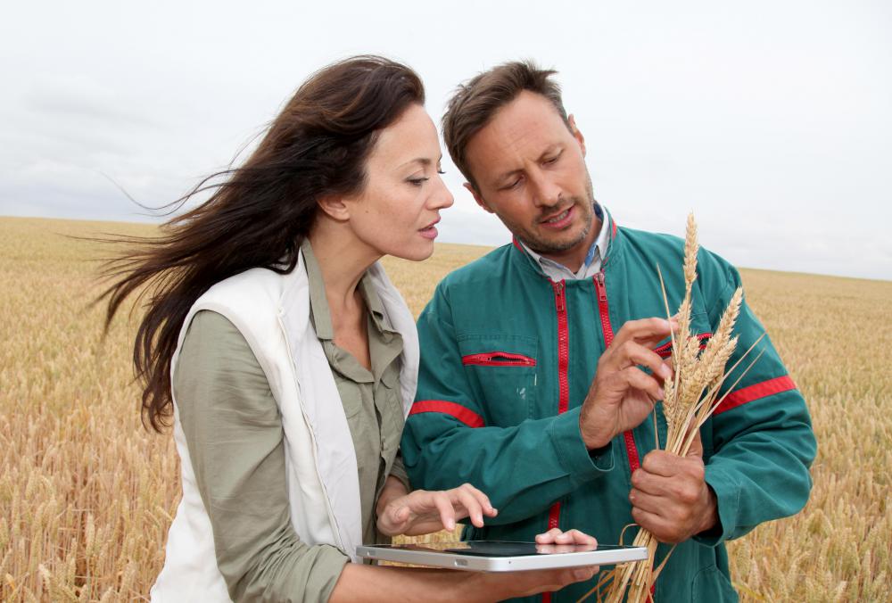 What does the United States Department of Agriculture do?