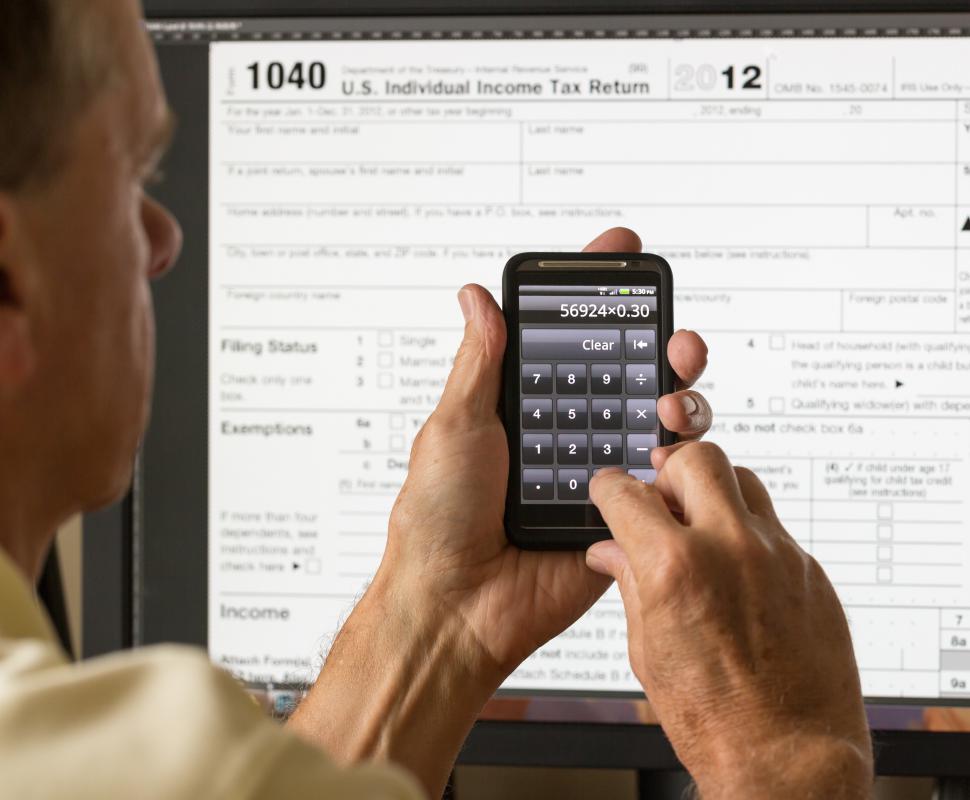 What is e-Government? (with pictures)