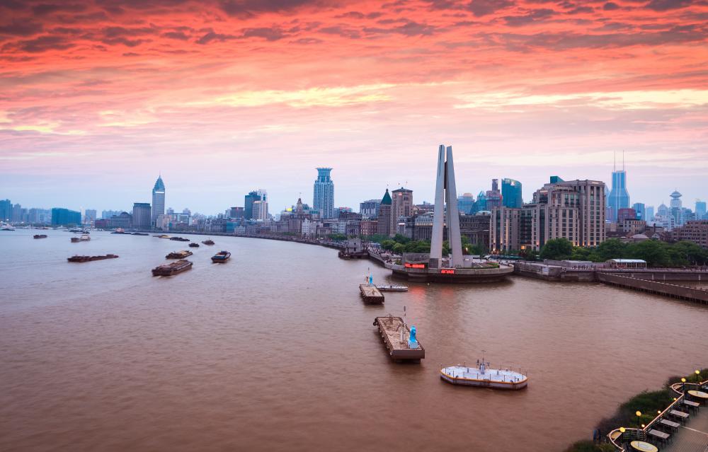 In China, what Was the Down to the Countryside Movement?