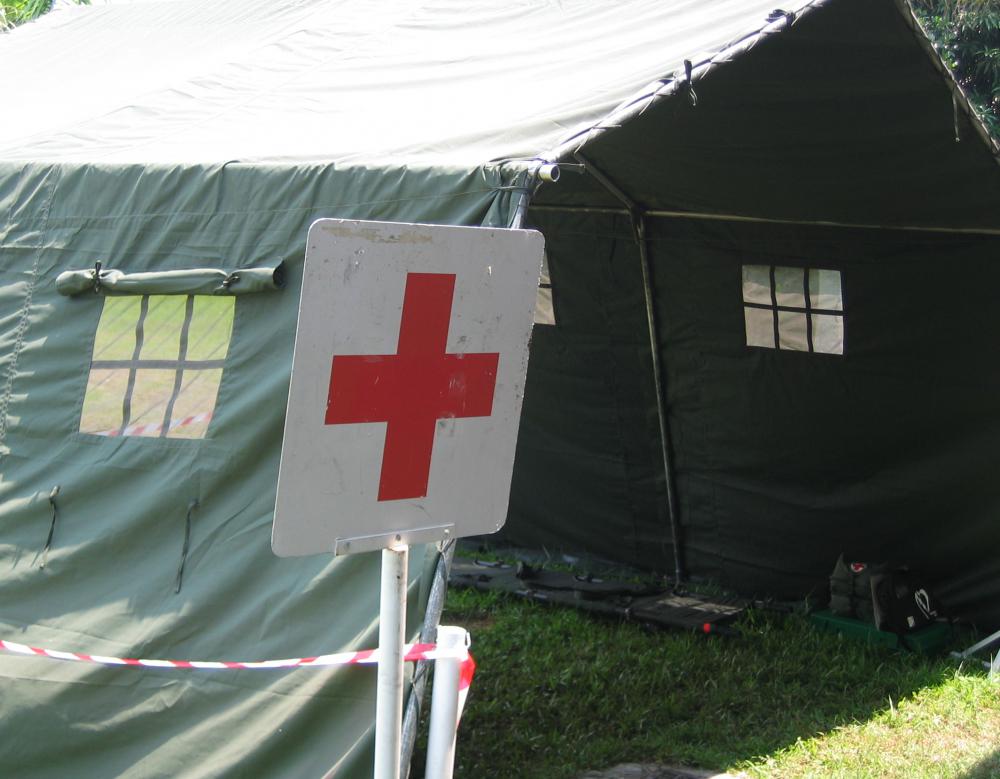 What is a Non-Governmental Organization? (with pictures)