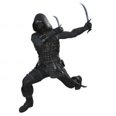 What Is the Hashashin? (with pictures)